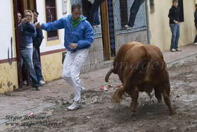 Sergio Romero -Fotografia taurina-