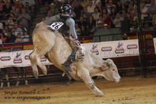 Sergio Romero -Fotografia taurina-